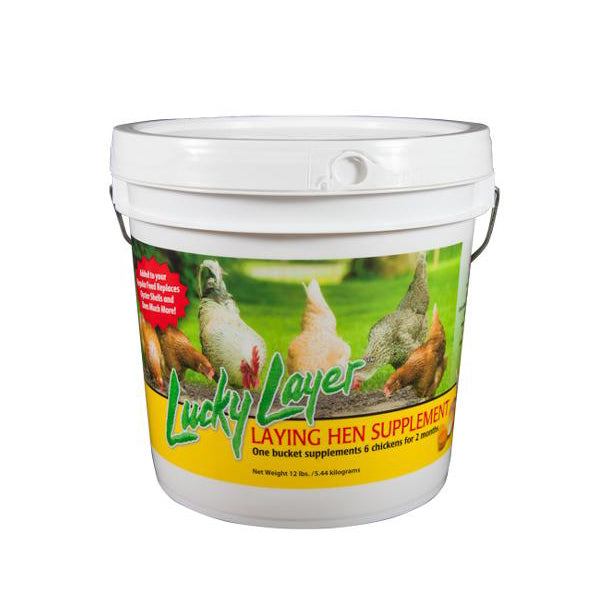 Lucky Layer Supplement 12 Lb Bucket - Burnsville, NC - Barn Charm